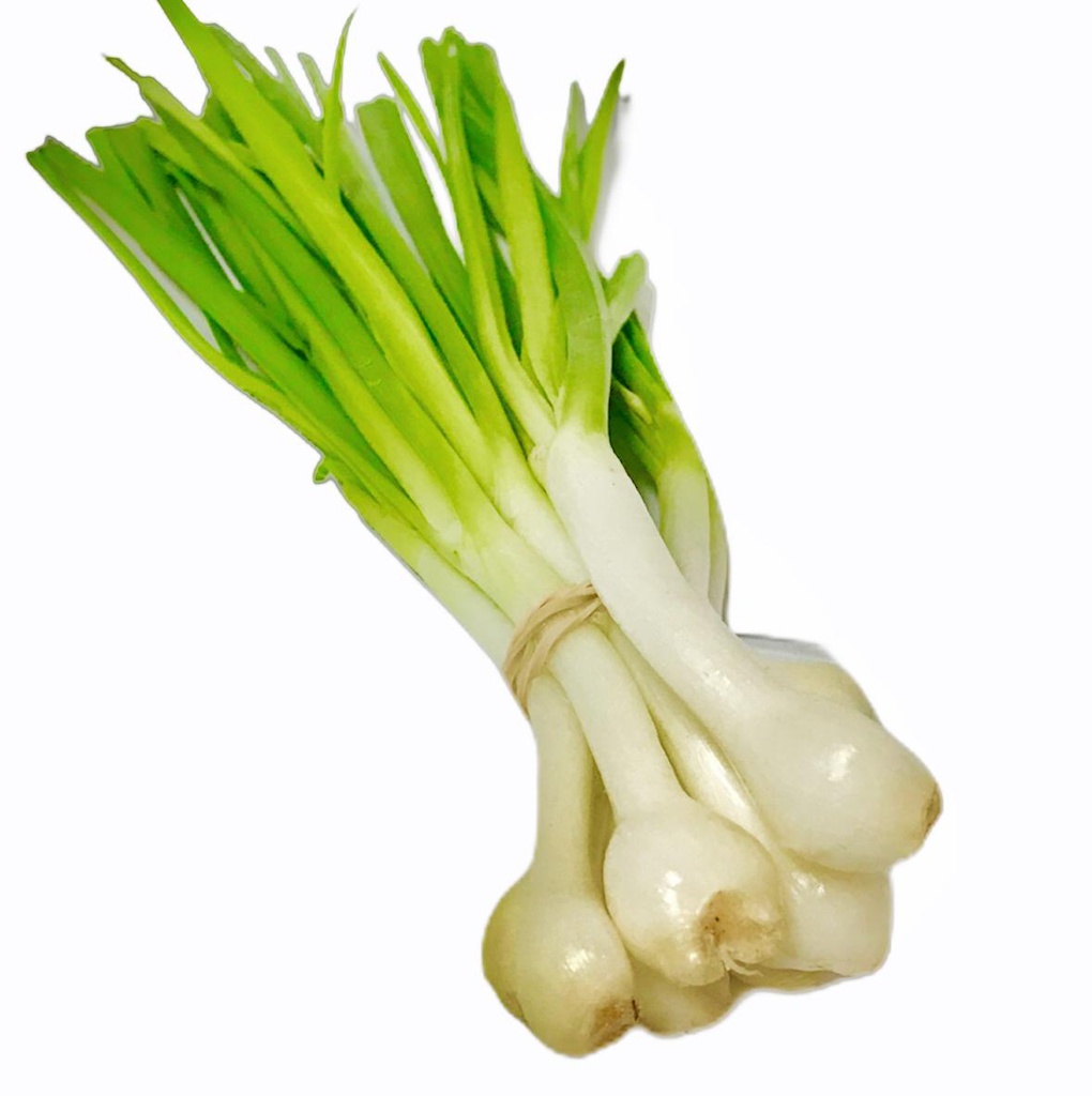 CEBOLLINA MAZO | Supermercado El Éxito